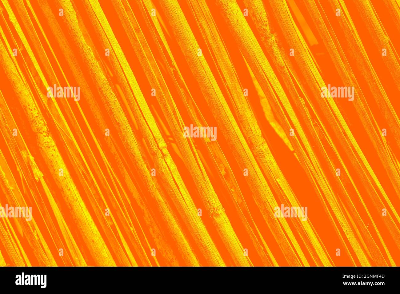 Abstract Orange background or texture with bamboo Stock Photo - Alamy