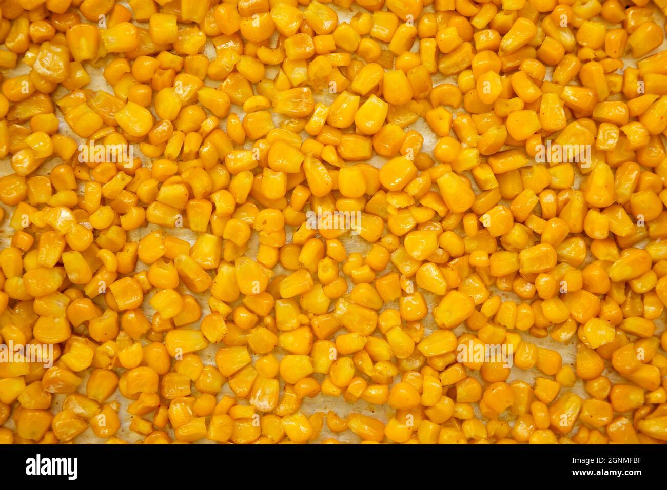 Yellow Roasted Sweetcorn, top view. Flat lay, overhead, from above ...