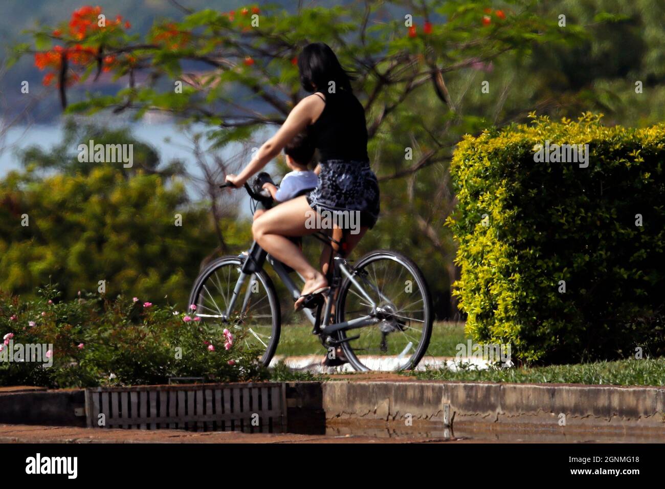 BRASÍLIA, DF - 26.09.2021: MOVIMENTAÇÃO PALÁCIO ALVORADA - Alvorada ...