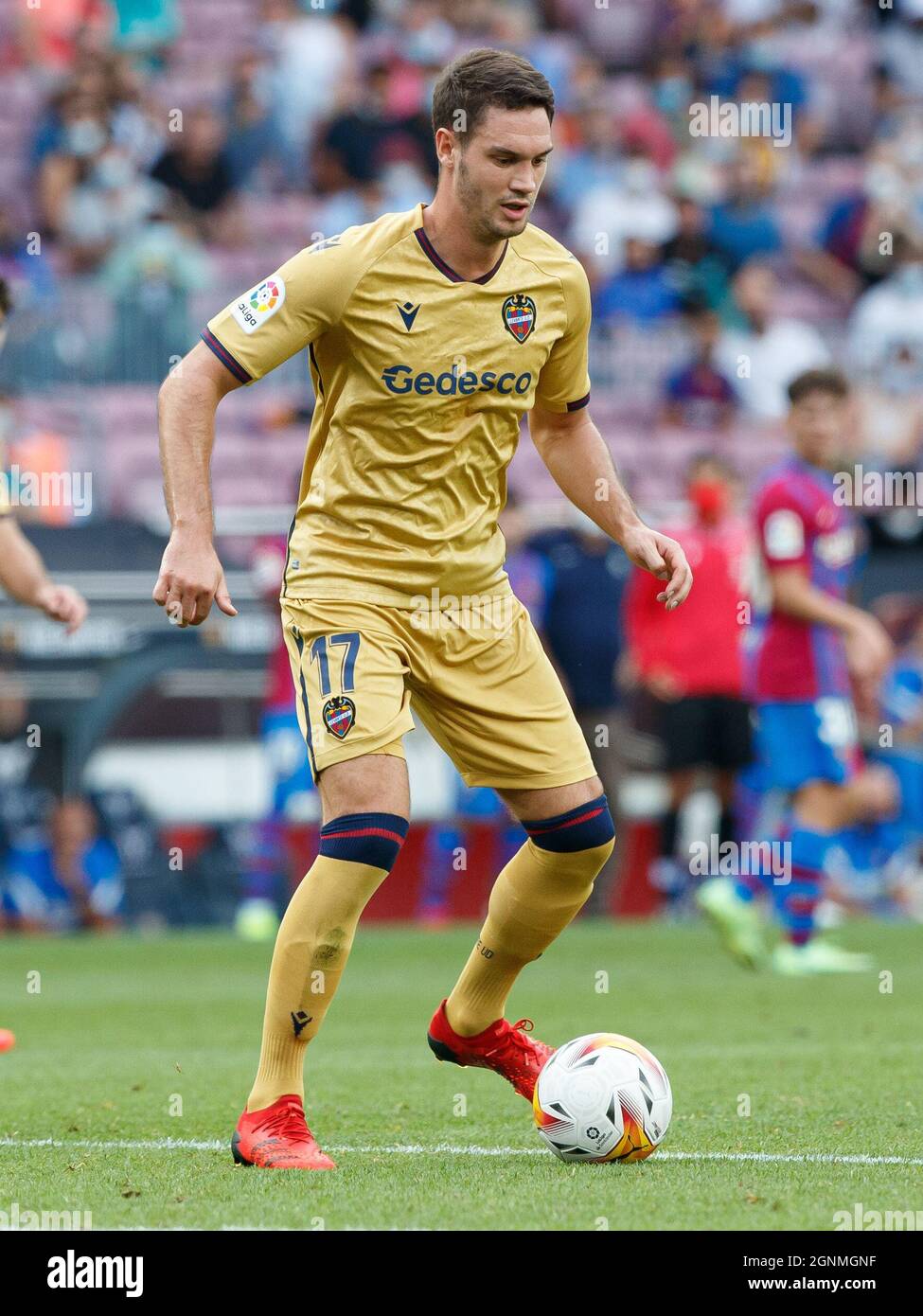 Vukcevic hi-res stock photography and images - Alamy