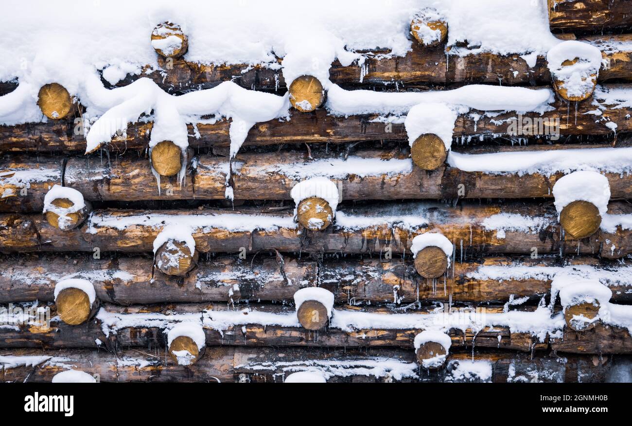 Strengthening logs wooden wall hi-res stock photography and images - Alamy
