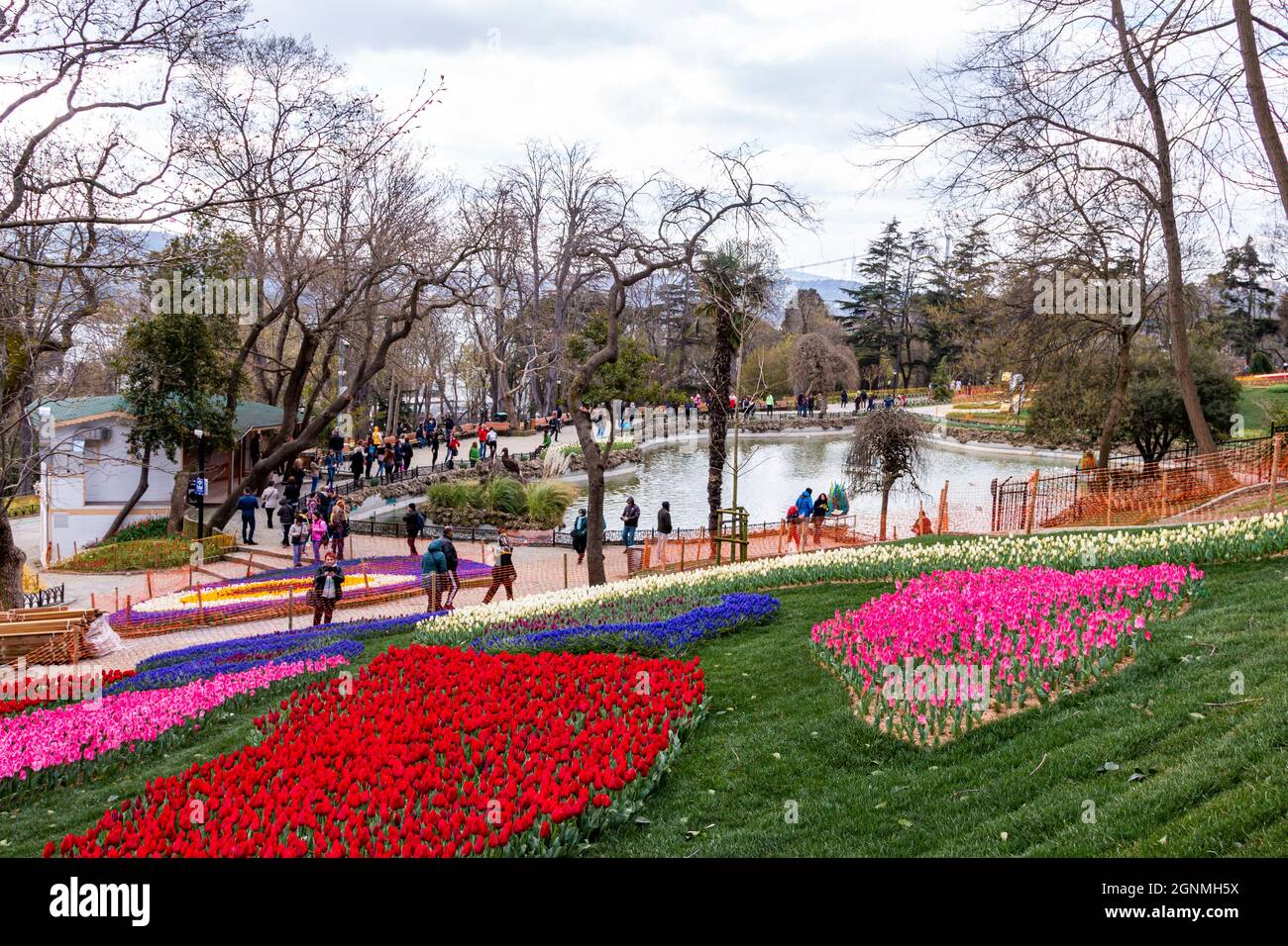 Tulip emirgan park istanbul hi-res stock photography and images - Alamy