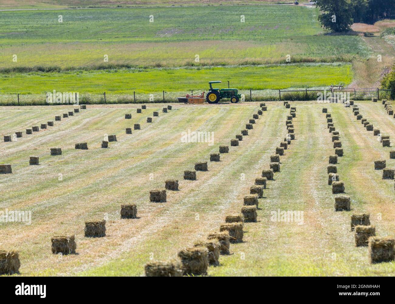 A farmers tractor waits to be used to harvest hay bales from a hay ...