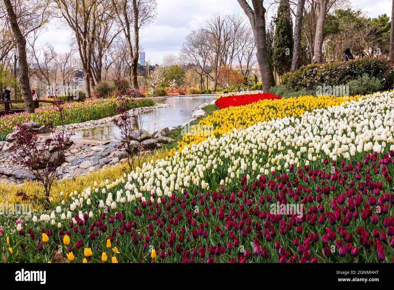 Emirgan Grove with many flower species, 2021-31 March, Istanbul, Turkey ...