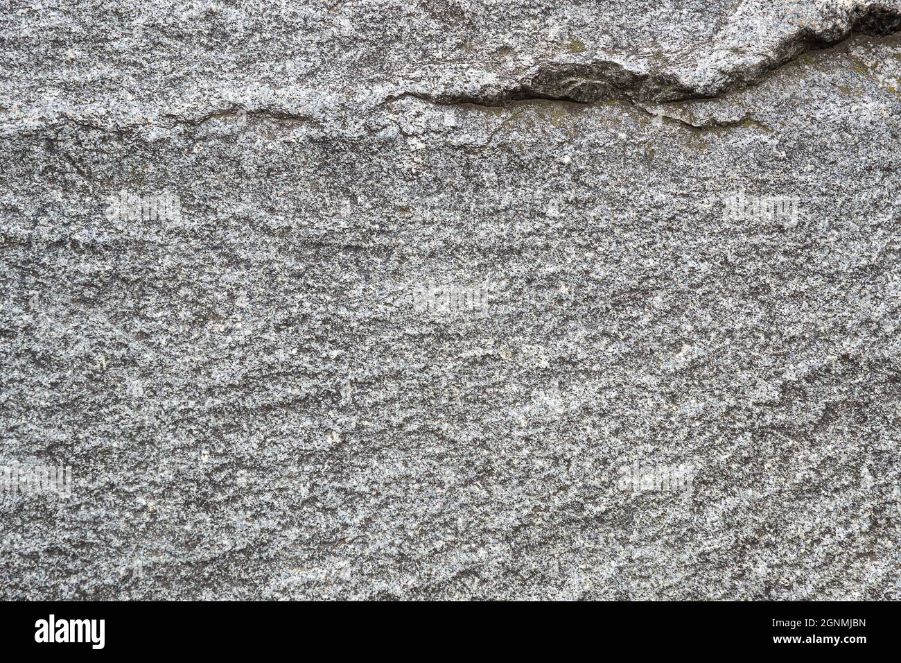 Untreated natural texture of gray granite close-up. Abstract background ...
