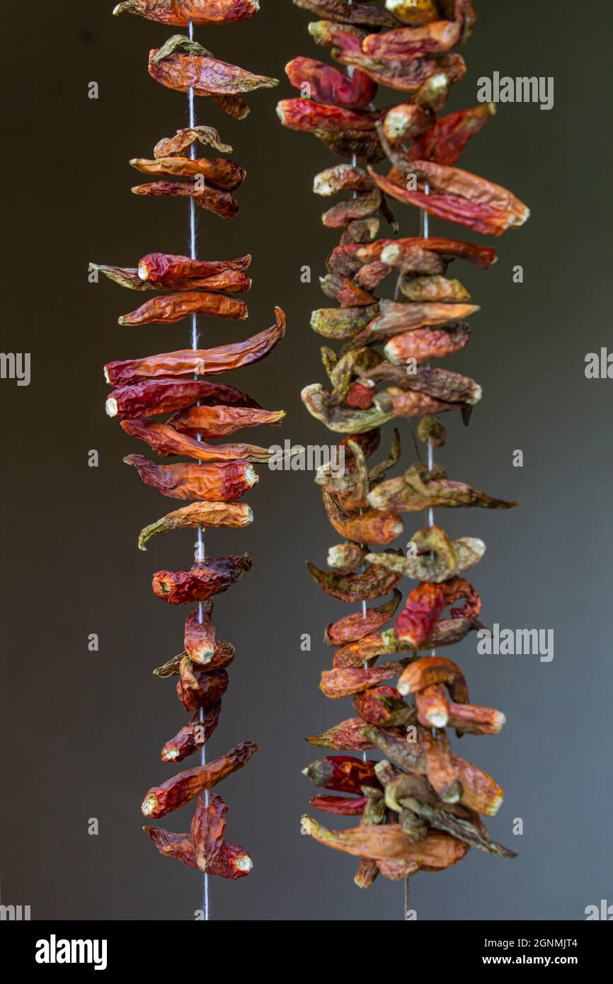 dried green chilli or peppers turn into red colour Stock Photo - Alamy