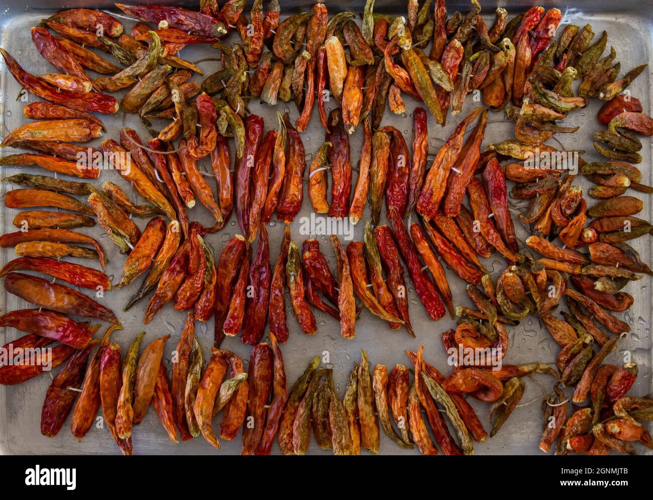 dried green chilli and peppers turns into red colour top view decorated ...