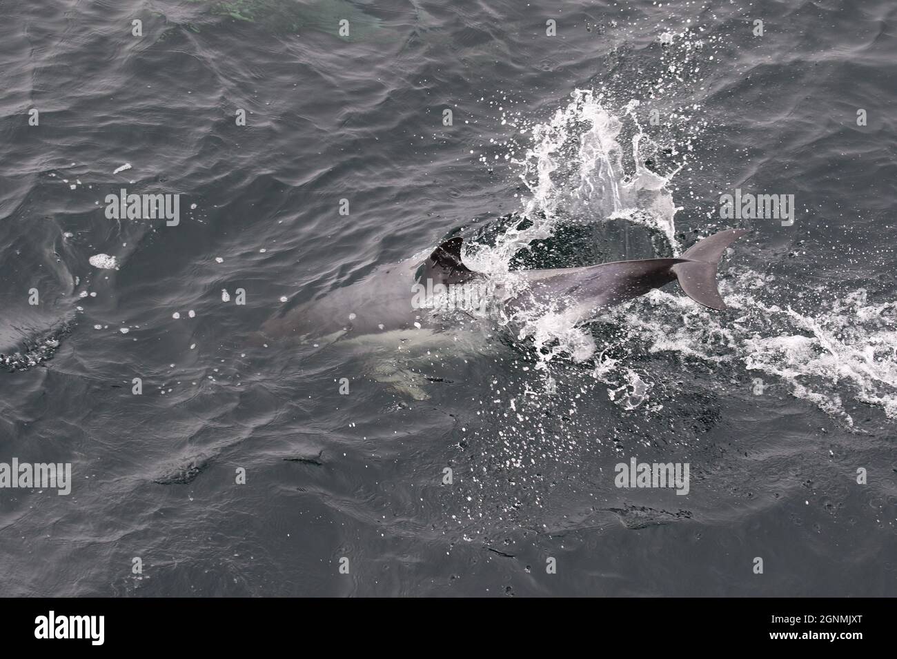 Sequence of photographs hi-res stock photography and images - Alamy