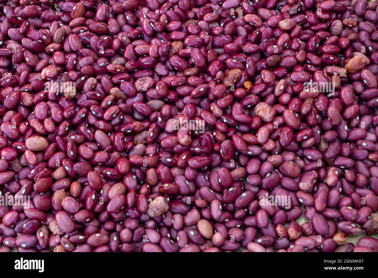 large amount of red beans or kidney beans Stock Photo - Alamy