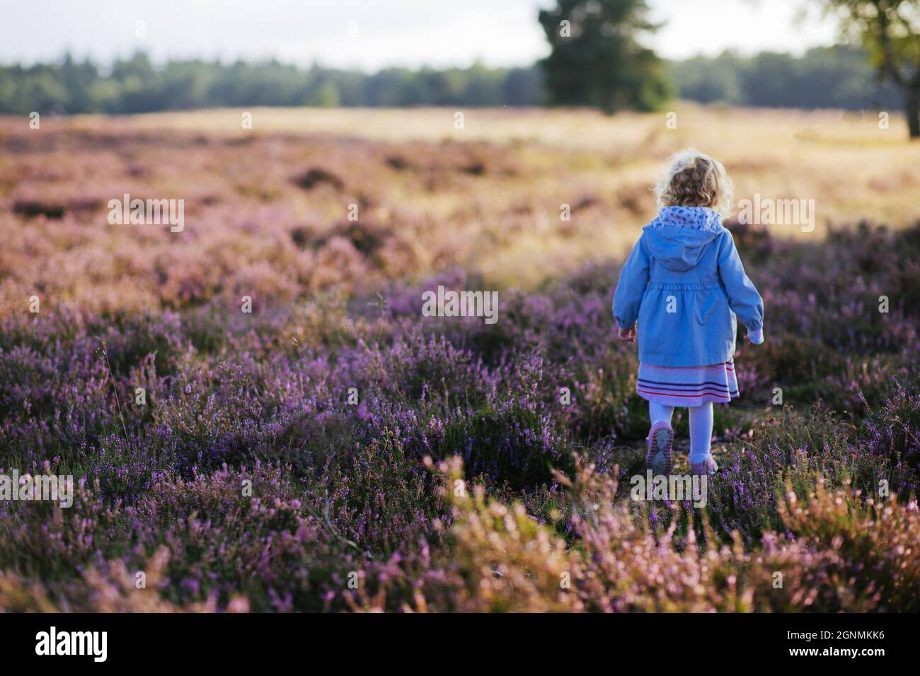 A back view of a cute little kid wandering in the scenic countryside ...