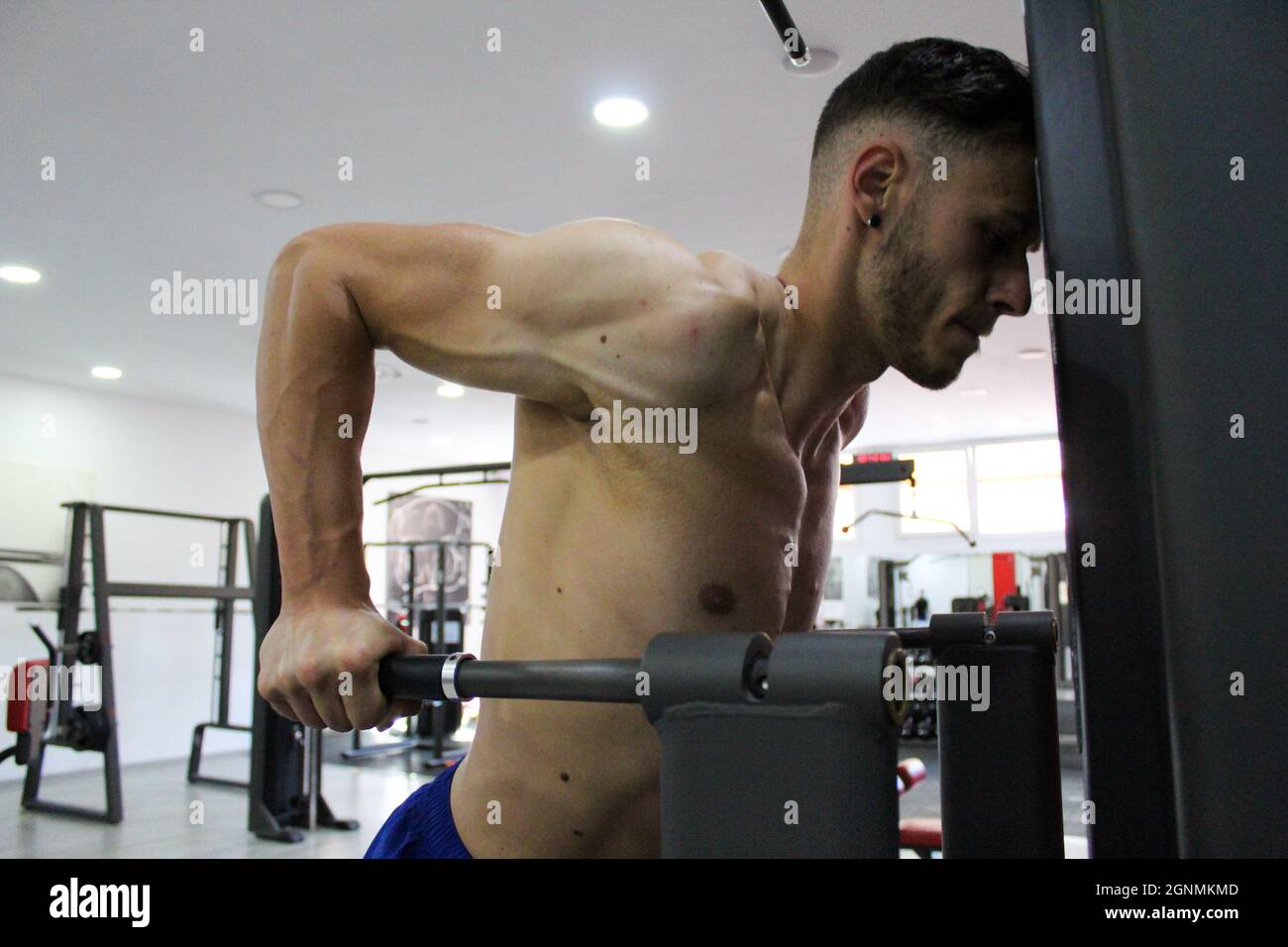 A young muscular Caucasian guy training triceps in the gym Stock Photo ...