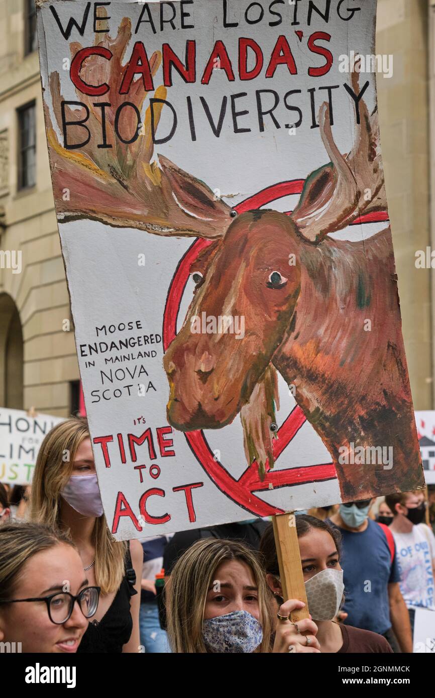 March through the streets part of Student-led strike for climate ...