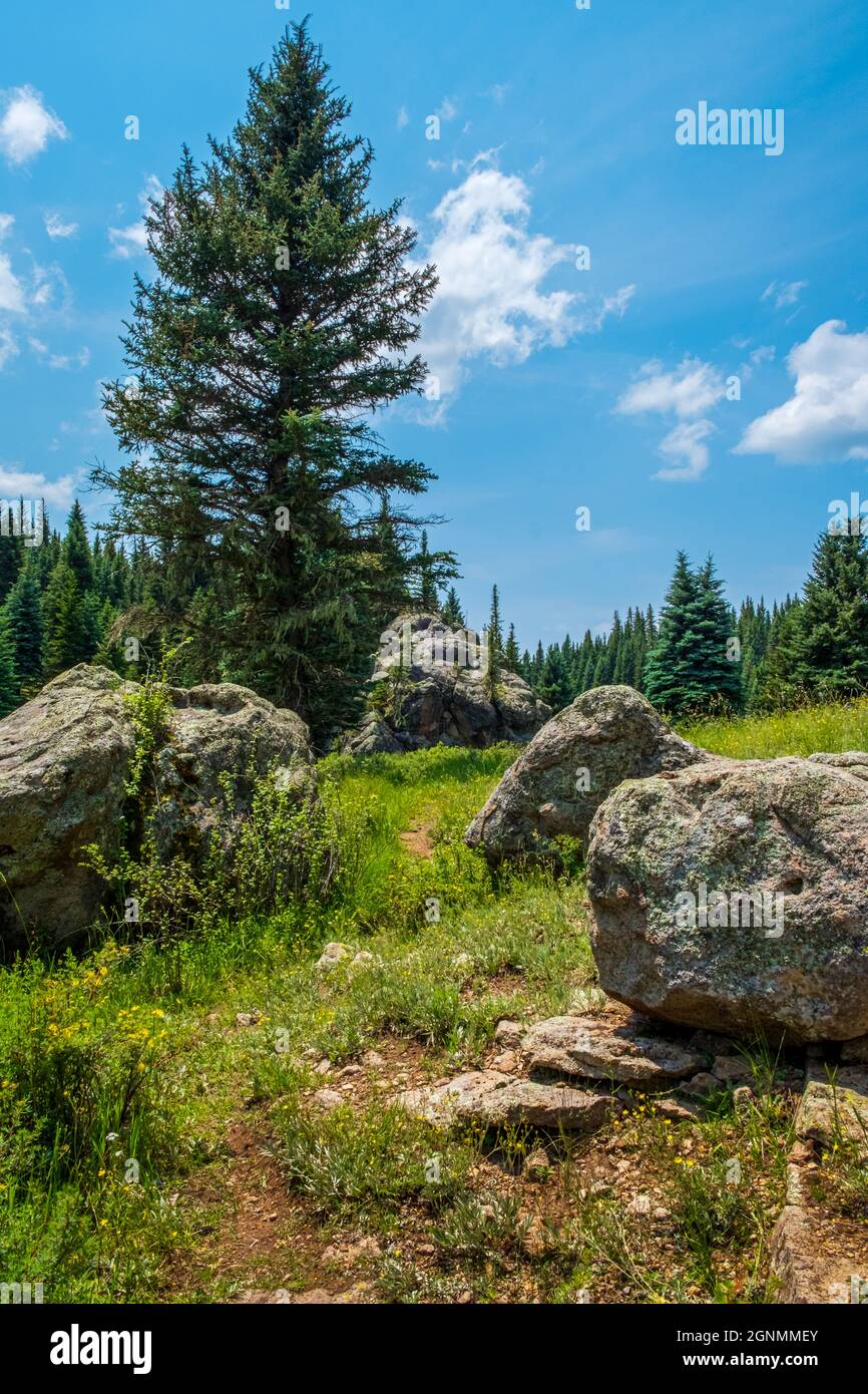 Valles caldera national preserve hi-res stock photography and images ...