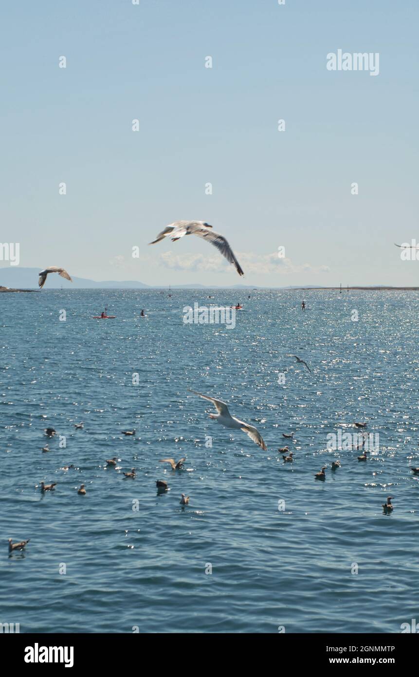 Shine colorfully hi-res stock photography and images - Alamy