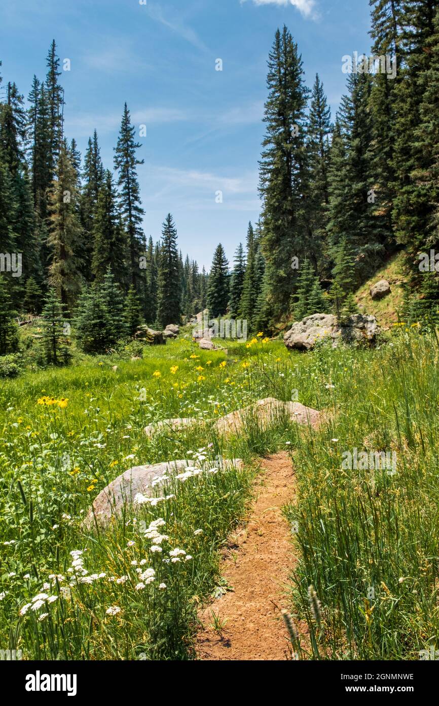 The valley closes in as hikers follow the narrowing path through the ...