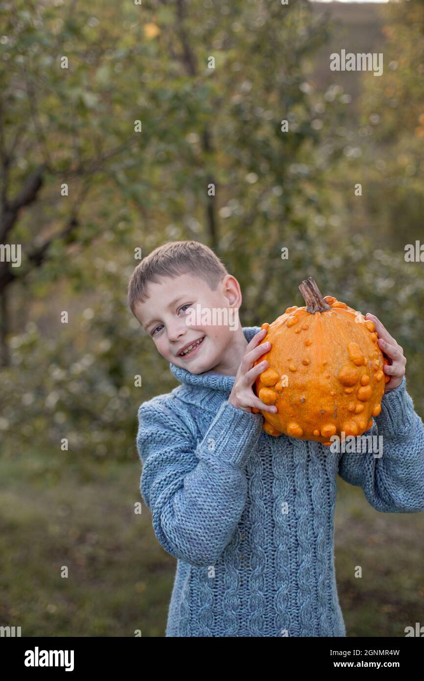 Deformed ugly orange pumpkins in a child hands Stock Photo - Alamy