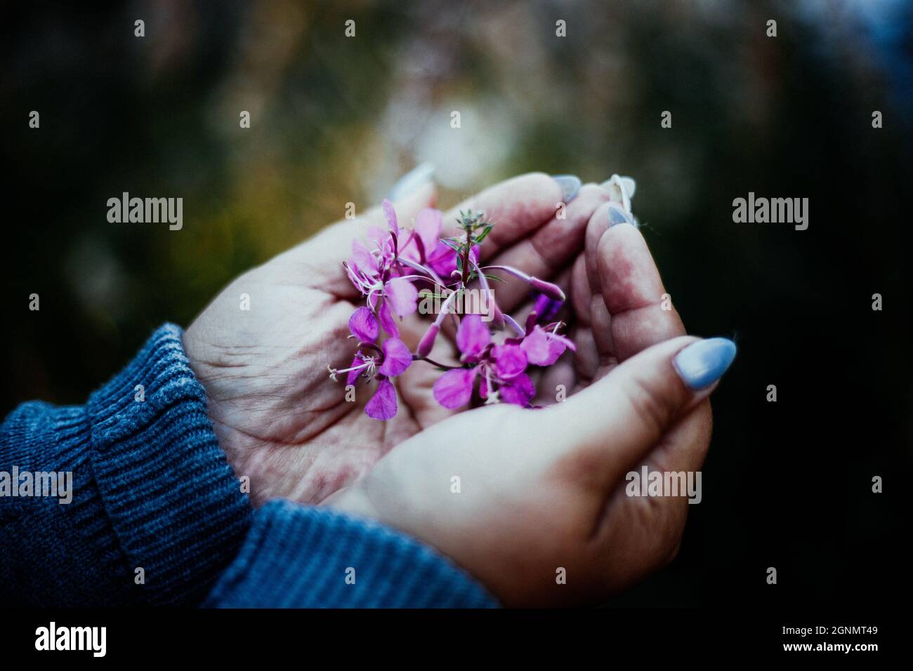 Beautiful womans hands palms hi-res stock photography and images - Alamy