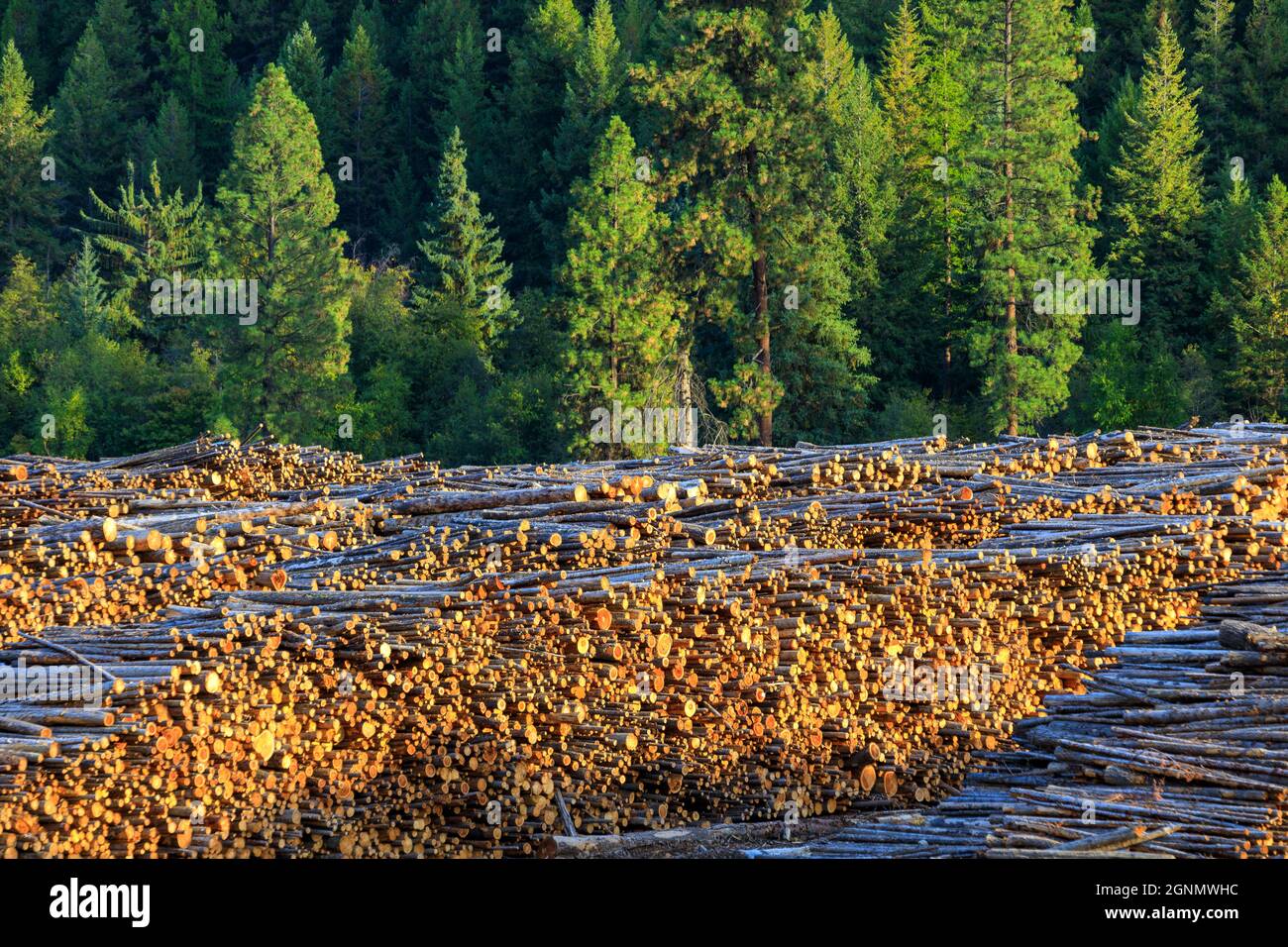 Canadian resource industry hi-res stock photography and images - Alamy