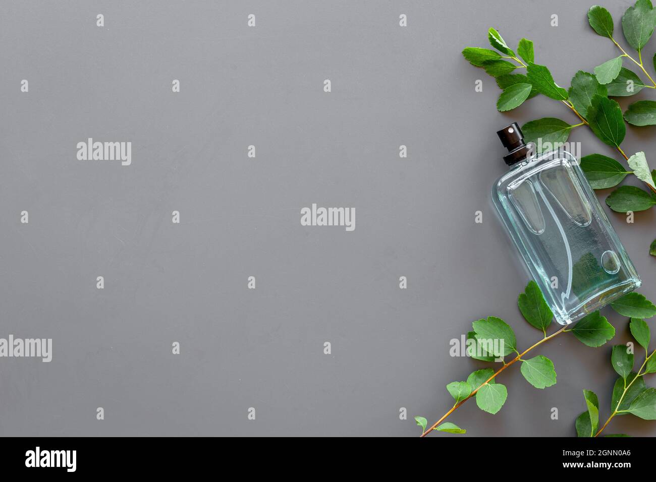 Agar wood tree with arabian oud oil perfume Stock Photo - Alamy