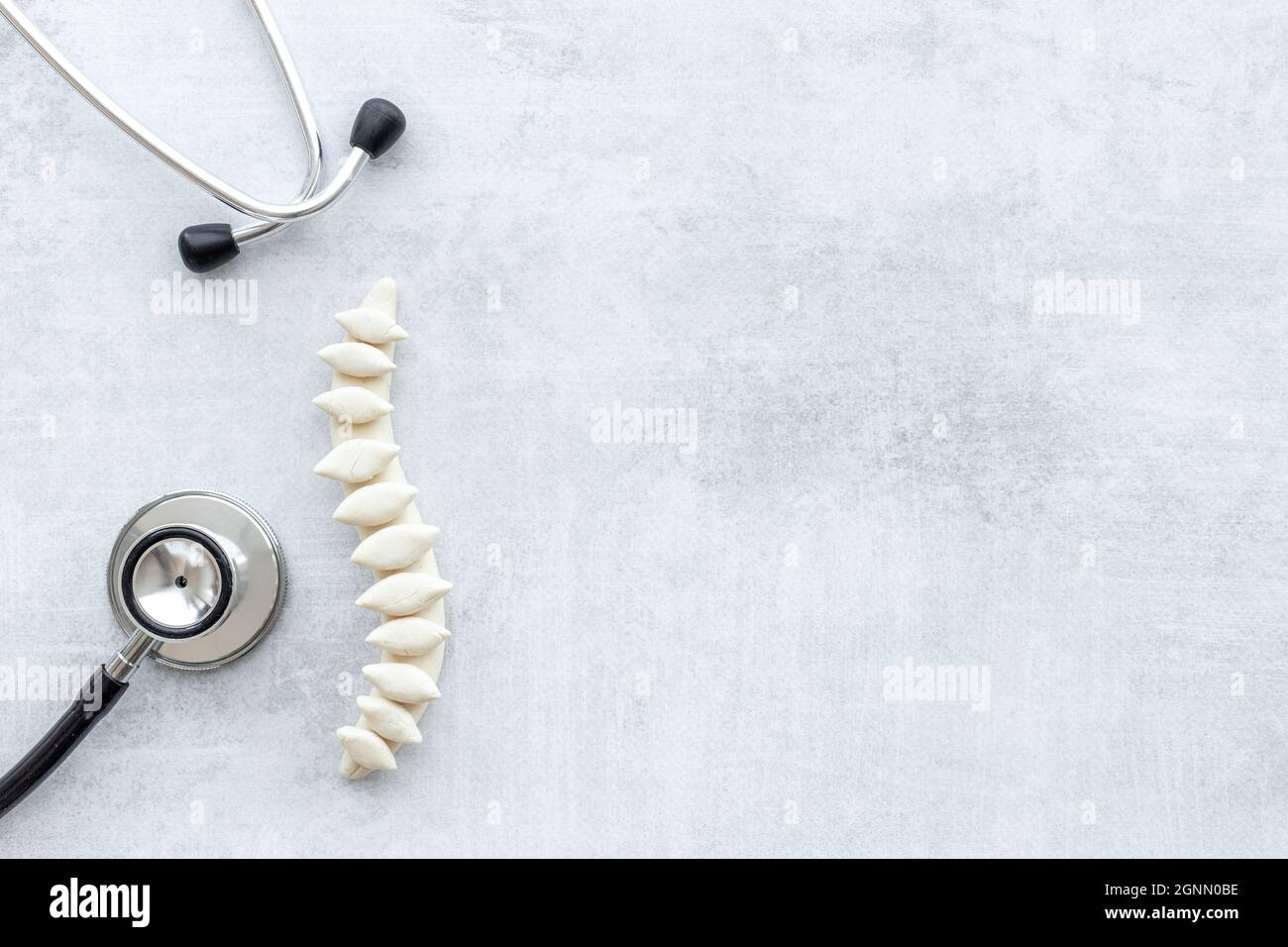 Treatment of osteochondrosis - medical spine model with stethoscope ...