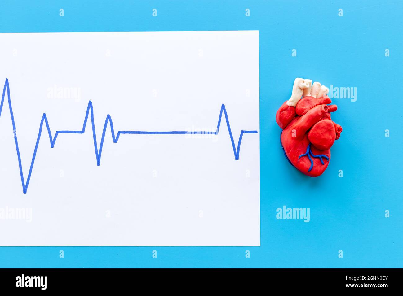 Heartbeat or heart rate with human heart model, top view Stock Photo ...