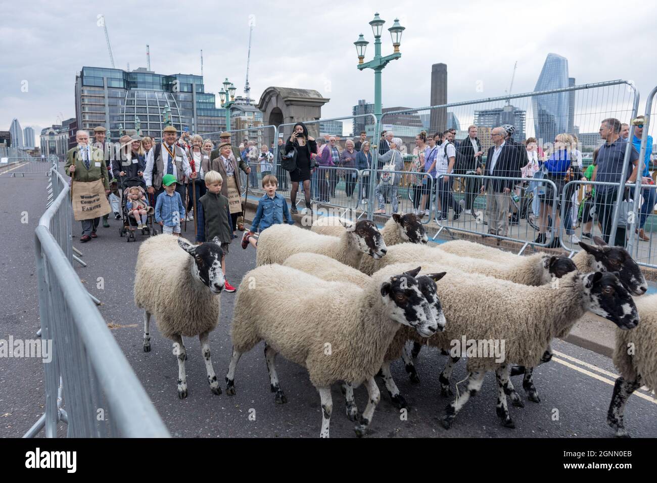 Southwark bridge sheep hi-res stock photography and images - Alamy