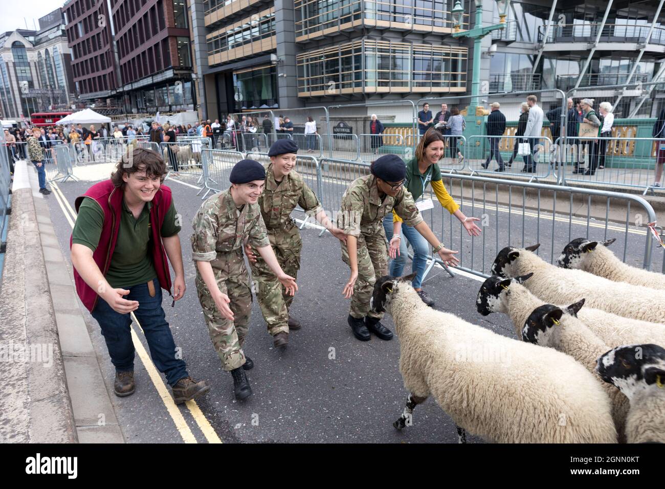 London, UK. 26th Sep, 2021. Cadets seen leading the sheep across ...