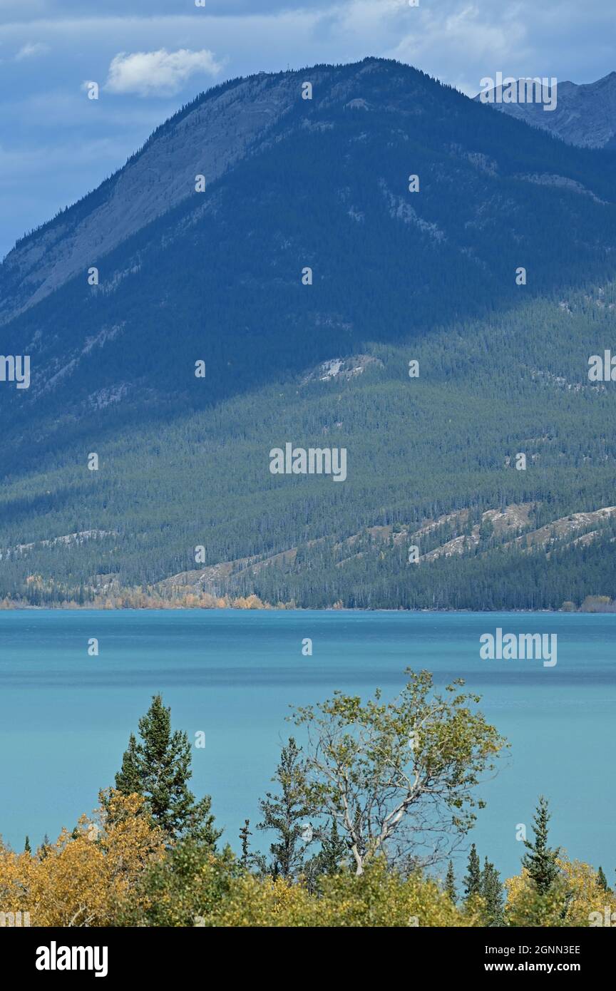 Banff National Park: Abraham Lake at North Saskatchewan River Stock ...