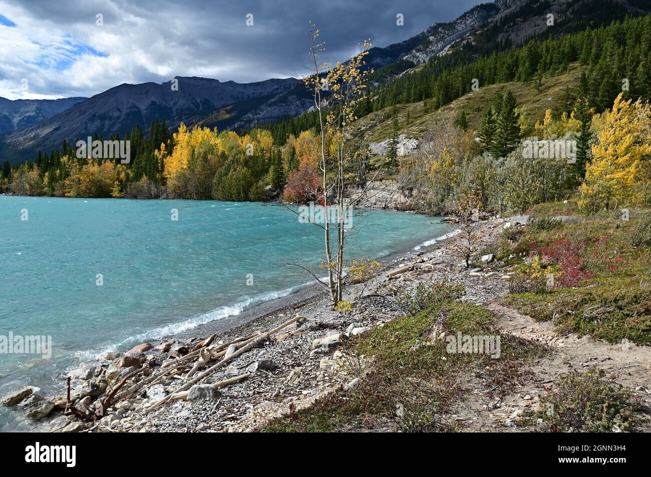 Banff National Park: Abraham Lake at North Saskatchewan River Stock ...