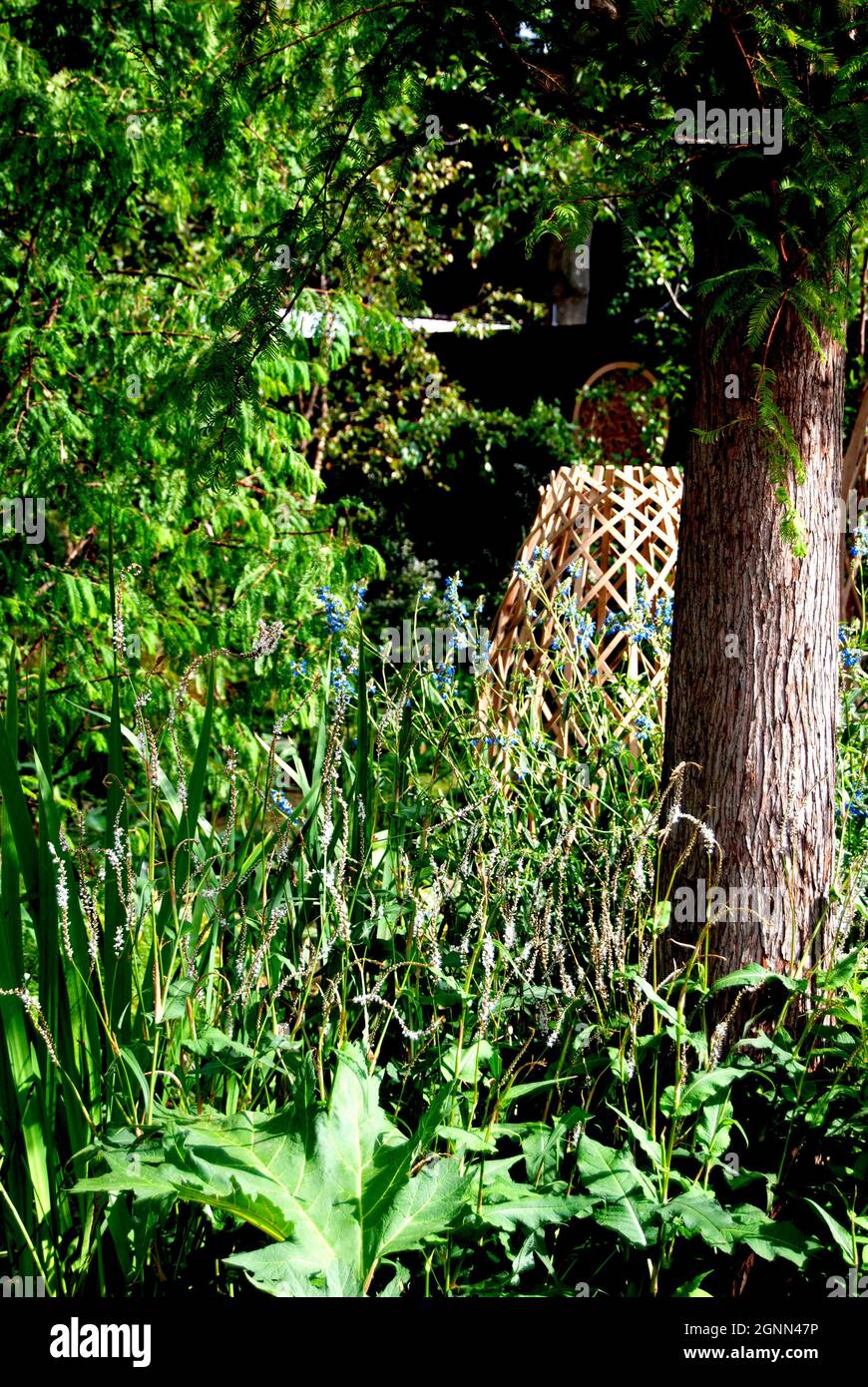 Guangzhou China: Guangzhou Garden, RHS Chelsea Flower Show September ...