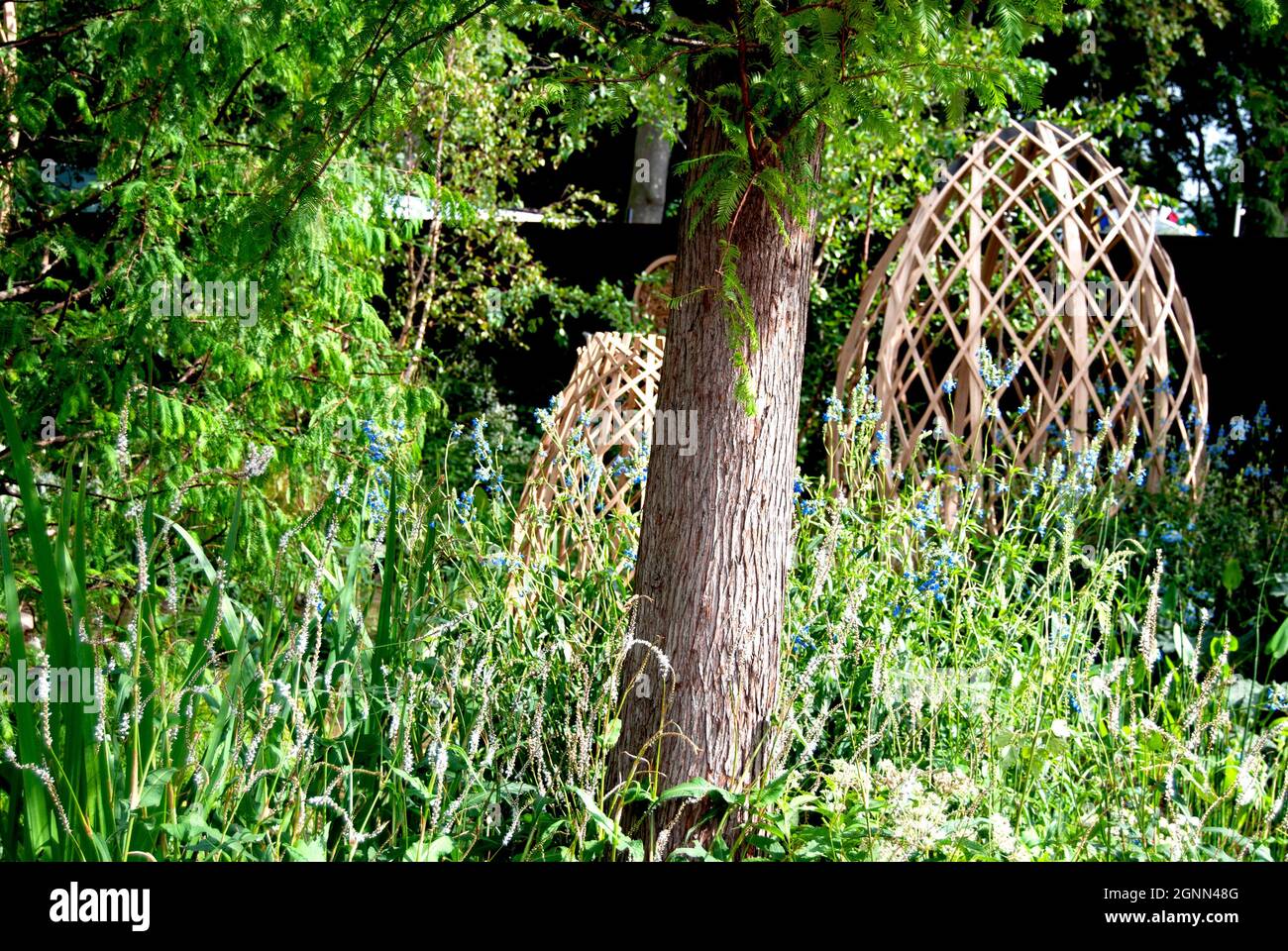 Guangzhou China: Guangzhou Garden, RHS Chelsea Flower Show September ...