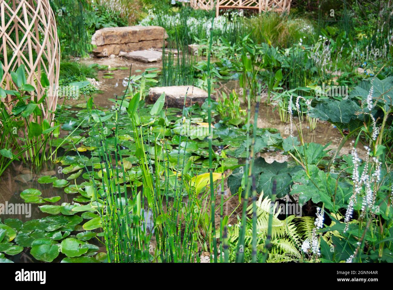 Guangzhou China: Guangzhou Garden, RHS Chelsea Flower Show September ...