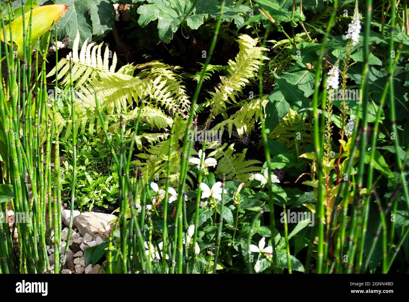 Guangzhou China: Guangzhou Garden, RHS Chelsea Flower Show September ...