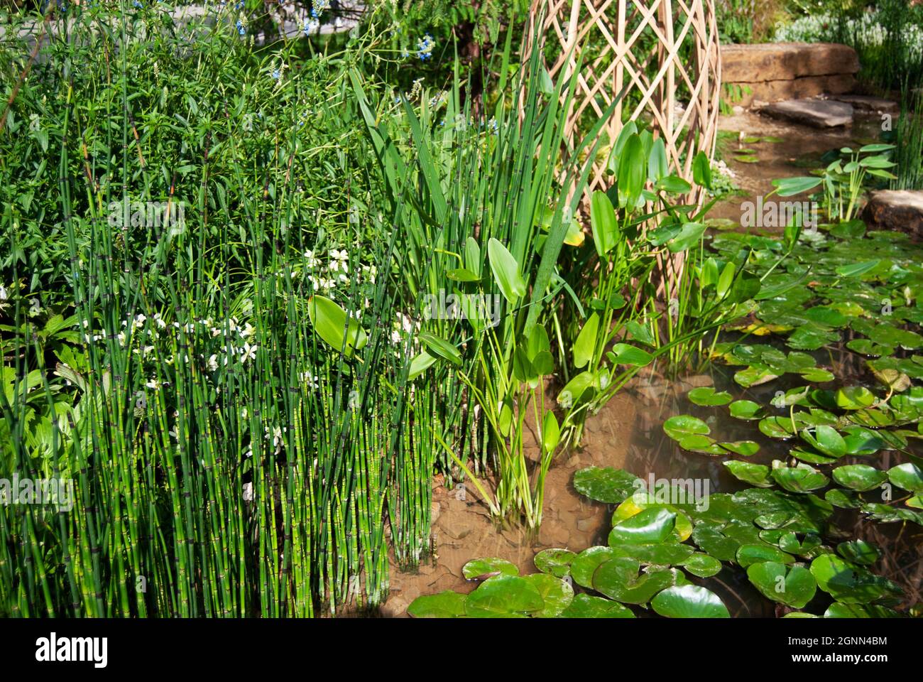 Guangzhou China: Guangzhou Garden, RHS Chelsea Flower Show September ...