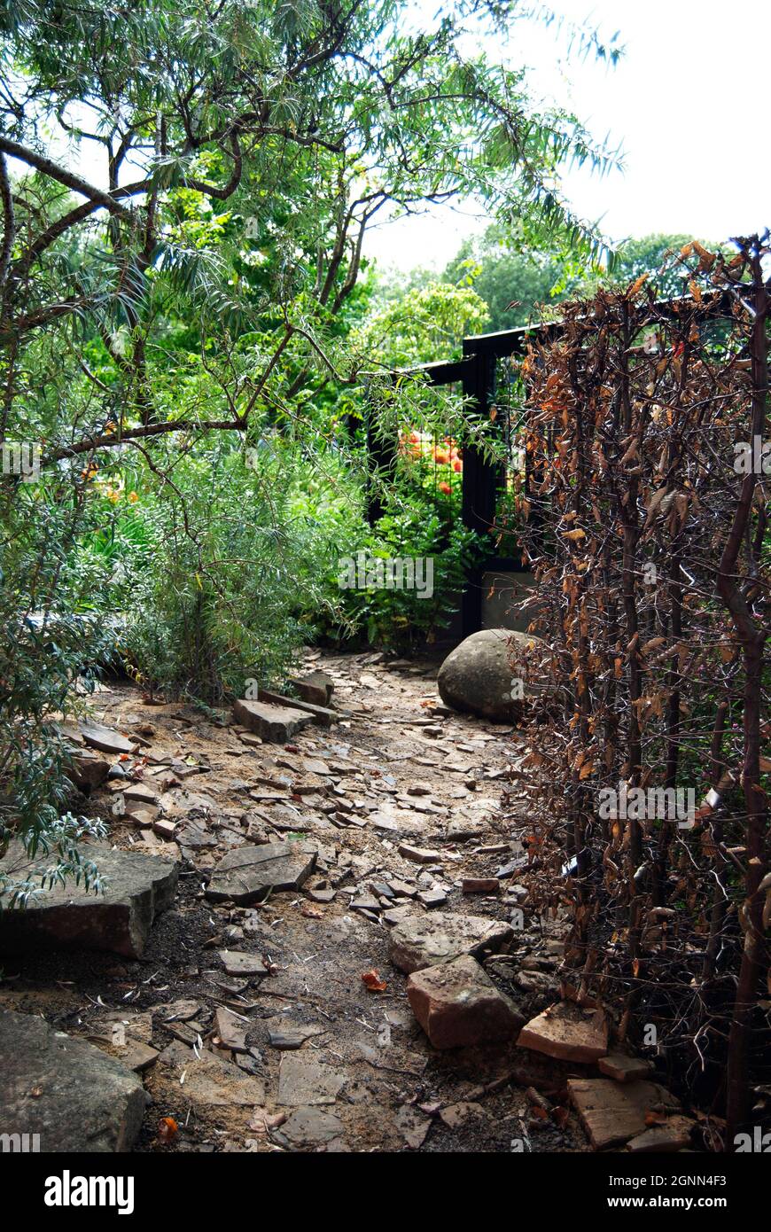 RHS COP26 Garden, RHS Chelsea Flower Show, September 2021. Designed by ...