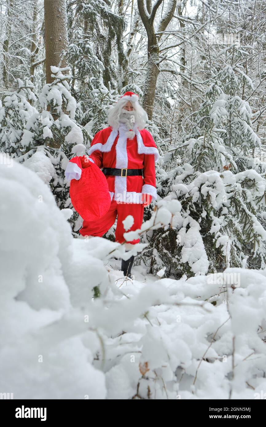 Santa Claus and a big bag of gifts in the winter forest.Merry Christmas ...