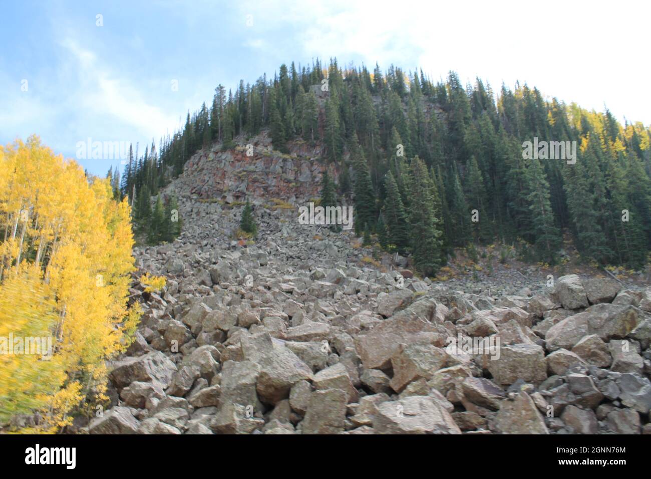 Grand Mesa National Forest Colorado. Fall forest colors on the largest ...