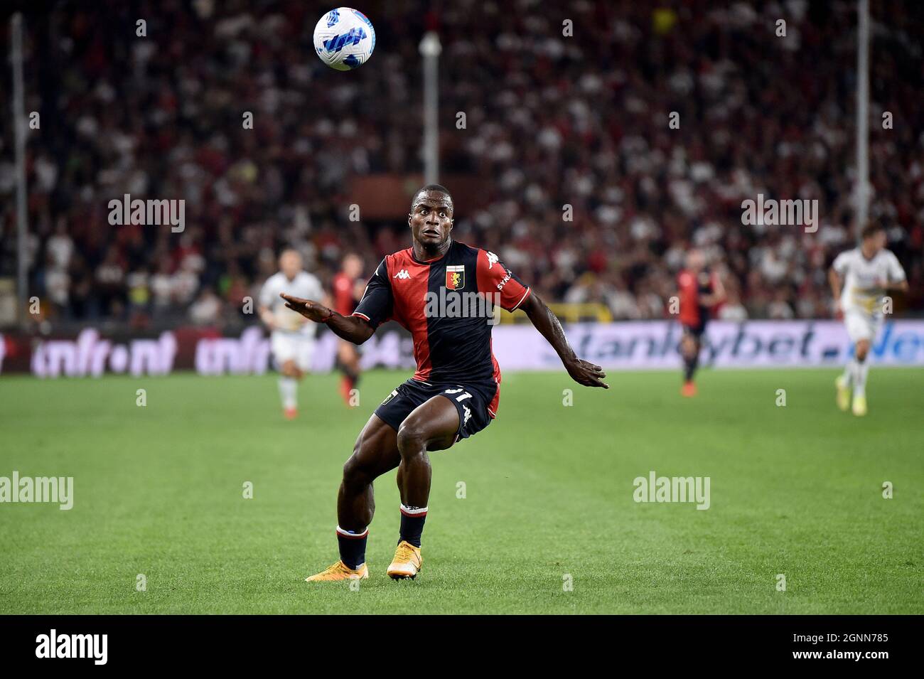 Verona yayah hi-res stock photography and images - Alamy