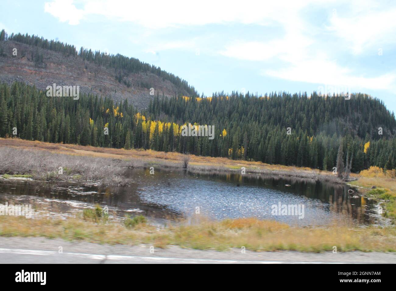 Grand Mesa National Forest Colorado. Fall forest colors on the largest ...
