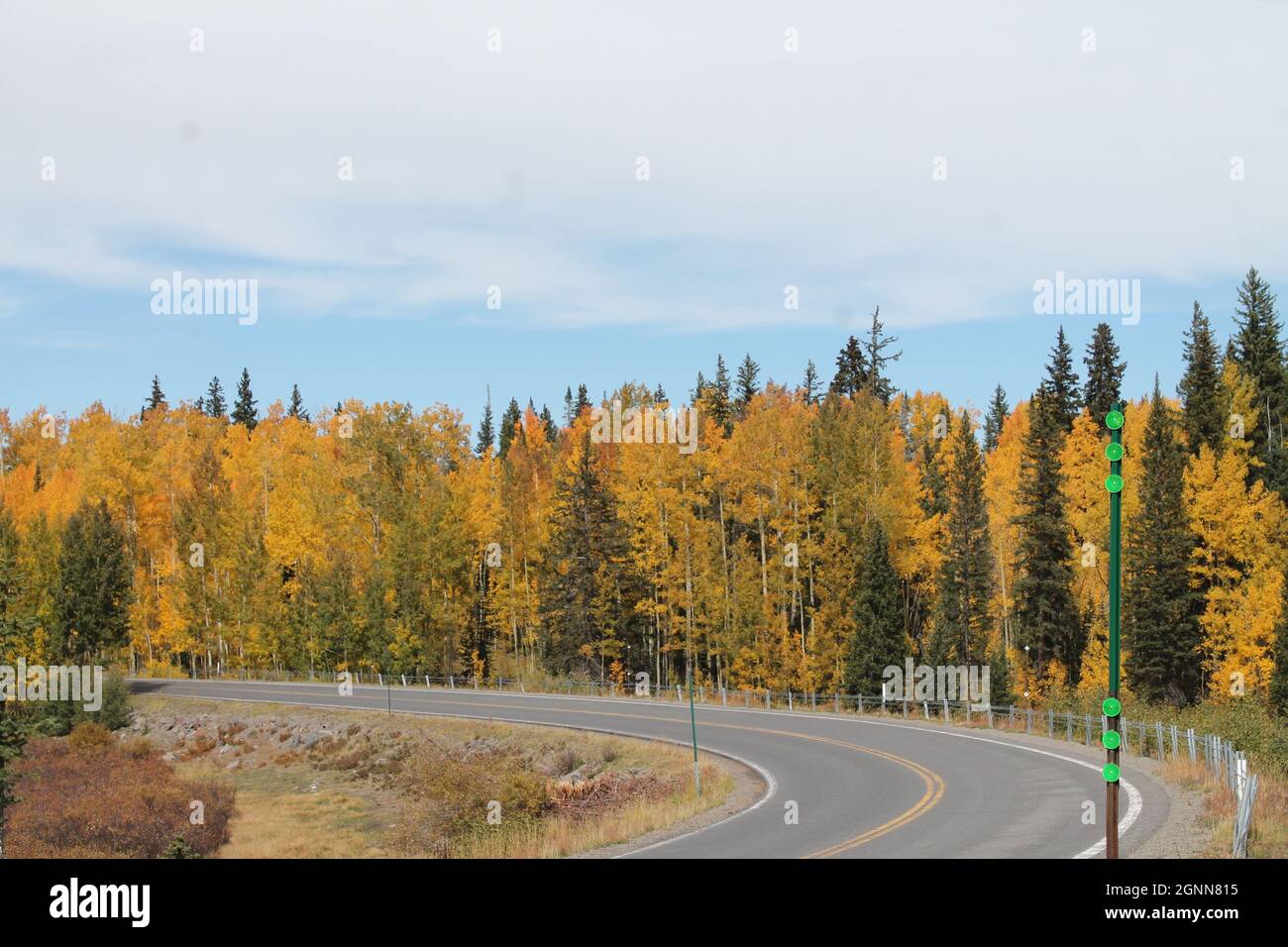Grand Mesa National Forest Colorado. Fall forest colors on the largest ...
