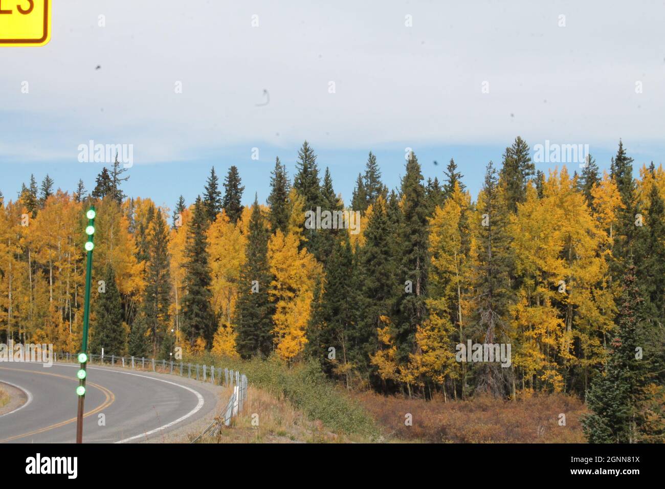 Grand Mesa National Forest Colorado. Fall forest colors on the largest ...