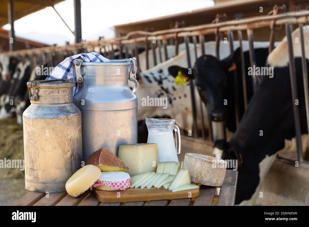 Image of dairy products on the farm Stock Photo - Alamy