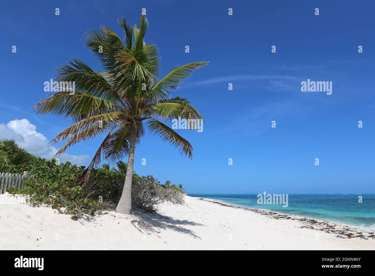Turtle Cove beach, Providenciales, Turks and Caicos Islands Stock Photo ...