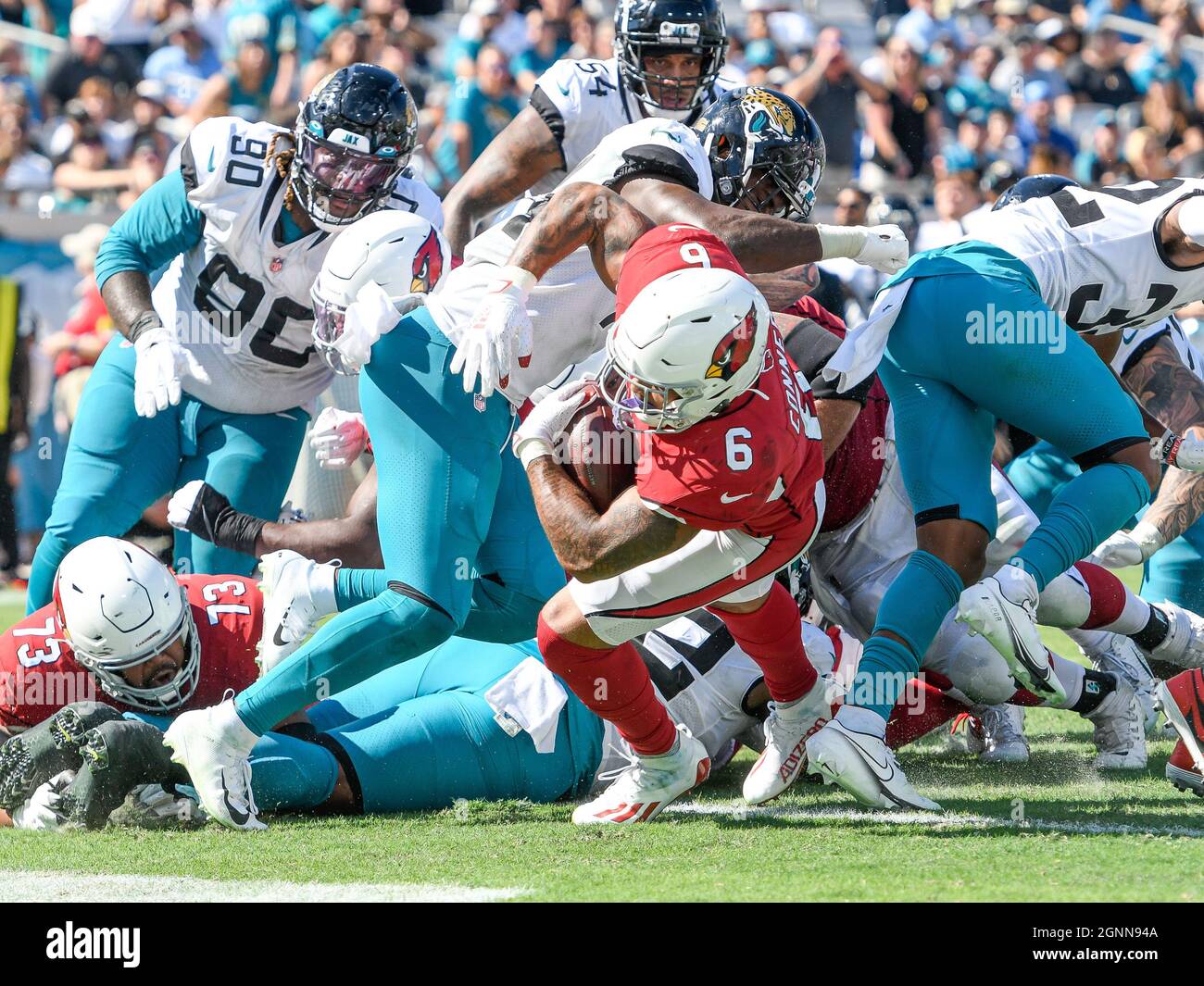 James conner pro hi-res stock photography and images - Alamy