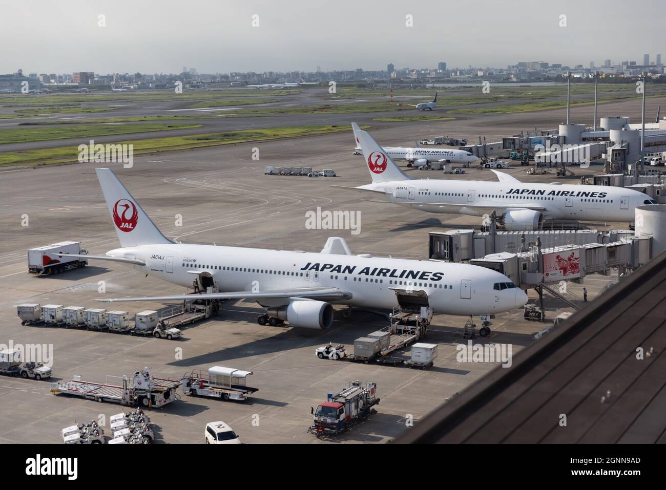 JAL airplanes on the tarmac of Haneda Airport Terminal 1 on September ...