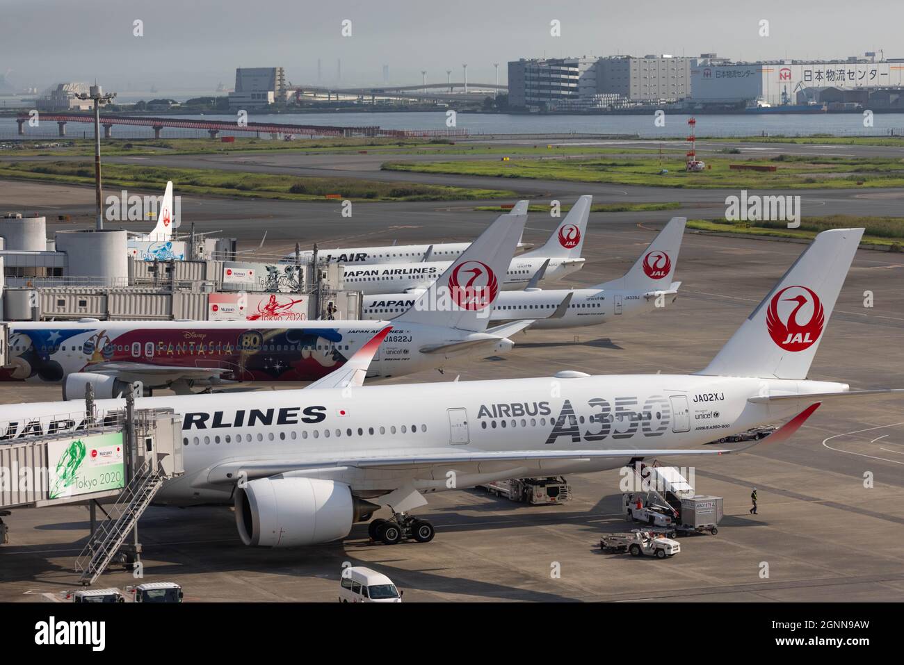 JAL airplanes on the tarmac of Haneda Airport Terminal 1 on September ...