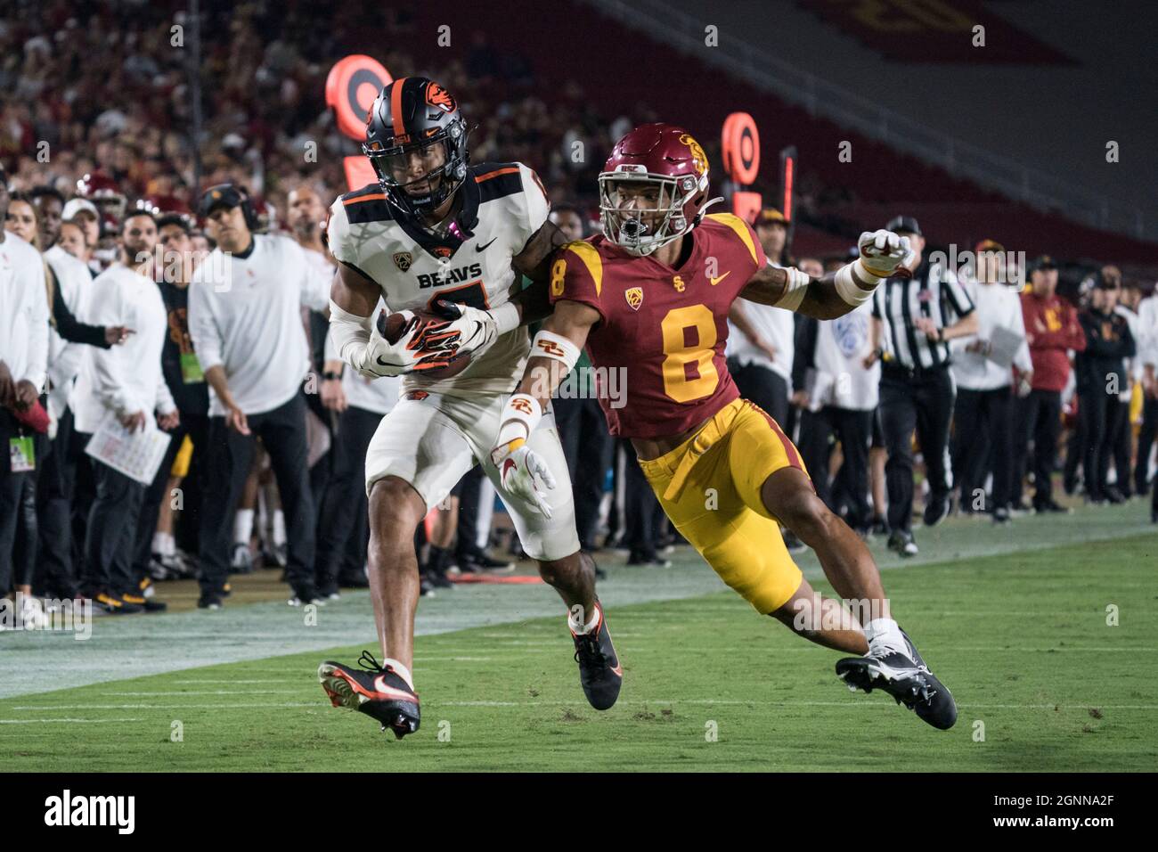 University of bradford hi-res stock photography and images - Alamy