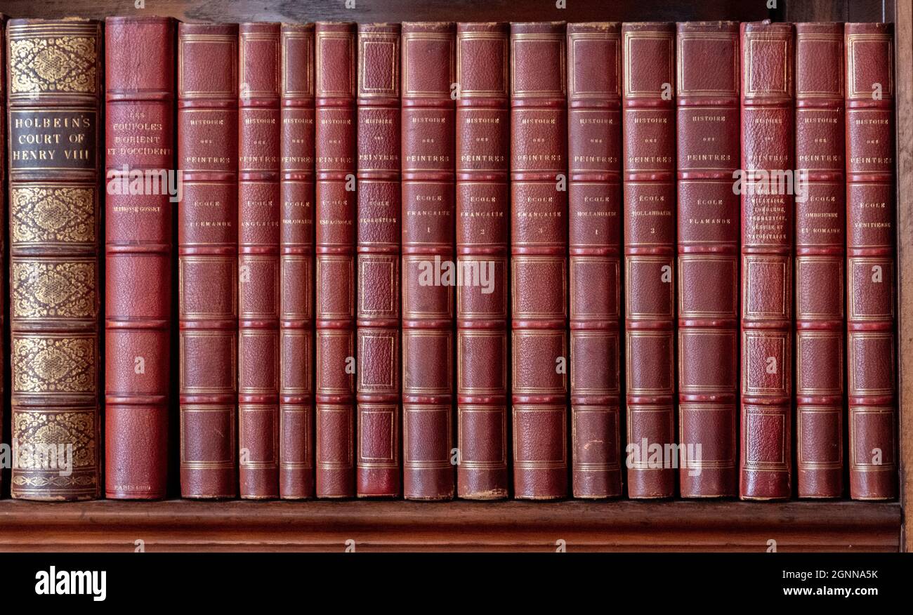 A line of old maroon books lined on a bookshelf Stock Photo - Alamy