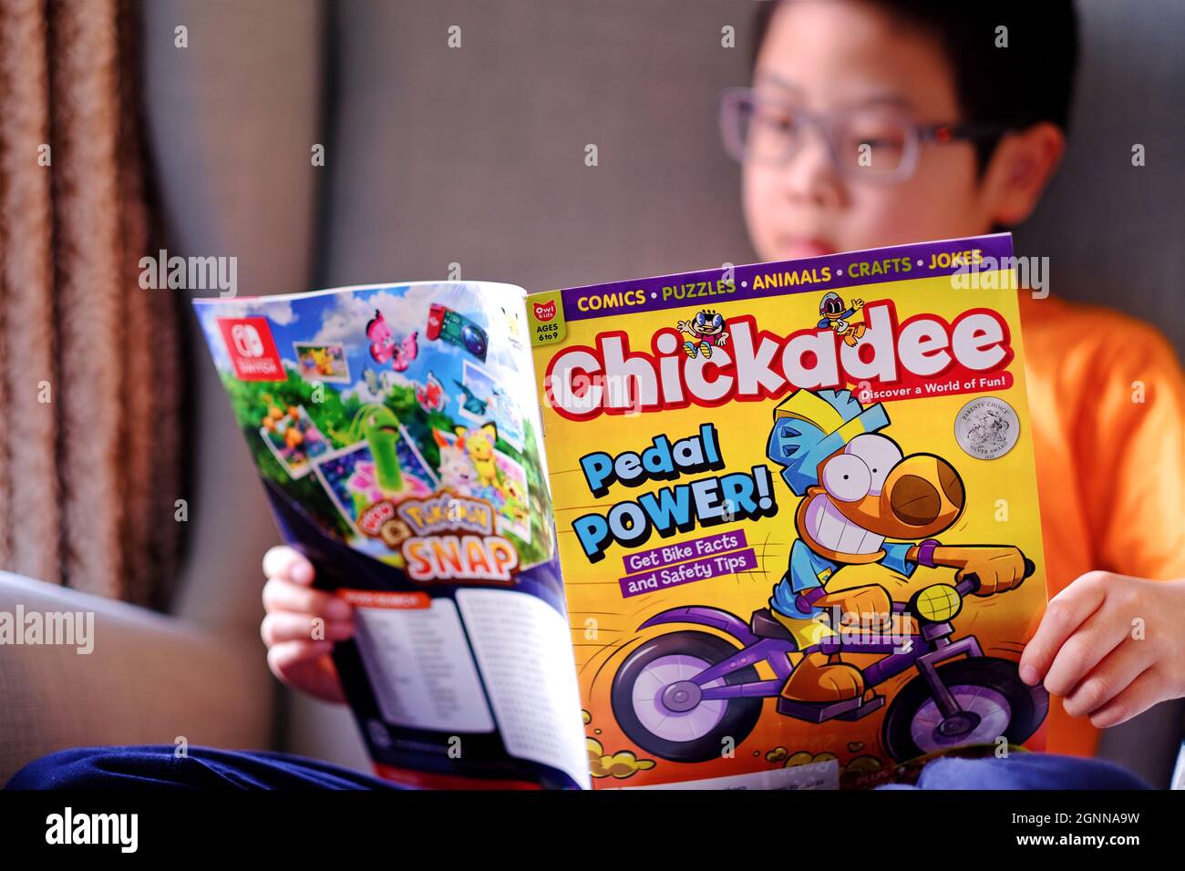 Student boy reading comic graphic Chickadee magazine on sofa at home ...