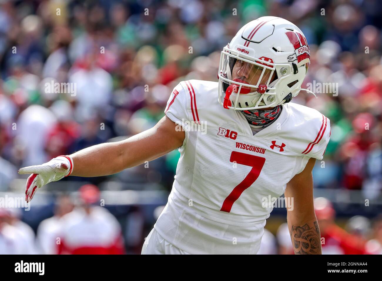 Shamrock iii hi-res stock photography and images - Alamy